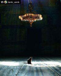 Gli the Cat of Hagia Sophia » Hagia Sophia