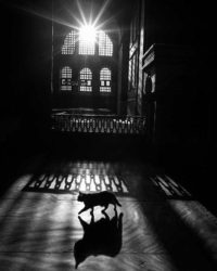 Gli the Cat of Hagia Sophia » Hagia Sophia