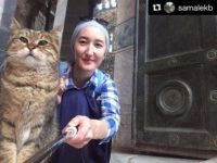 Gli the Cat of Hagia Sophia » Hagia Sophia