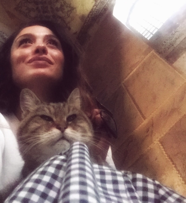 Gli the Cat of Hagia Sophia » Hagia Sophia